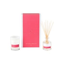 Palm Beach Collection Mini Candle & Diffuser Gift Pack Posy ...