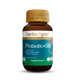 Herbs Of Gold Probiotic + SB 60 Capsules | Chemistworks Pharmacy